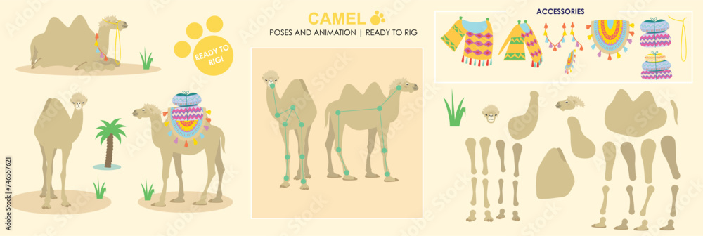Cute Camel vector collection ready to animate and rig. Multiple poses ...