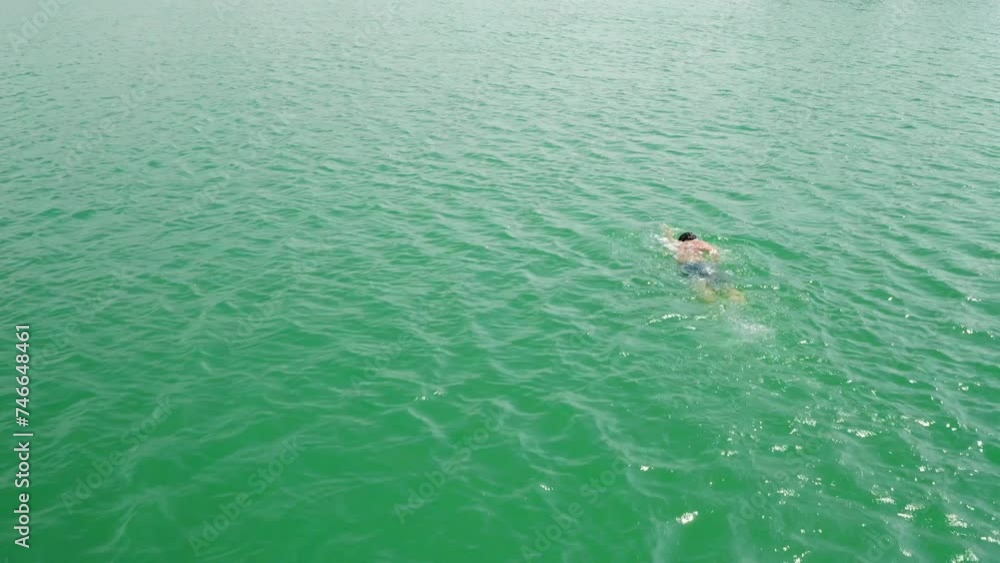 Professional swimmer swims in open water. A young guy swimming in the ...