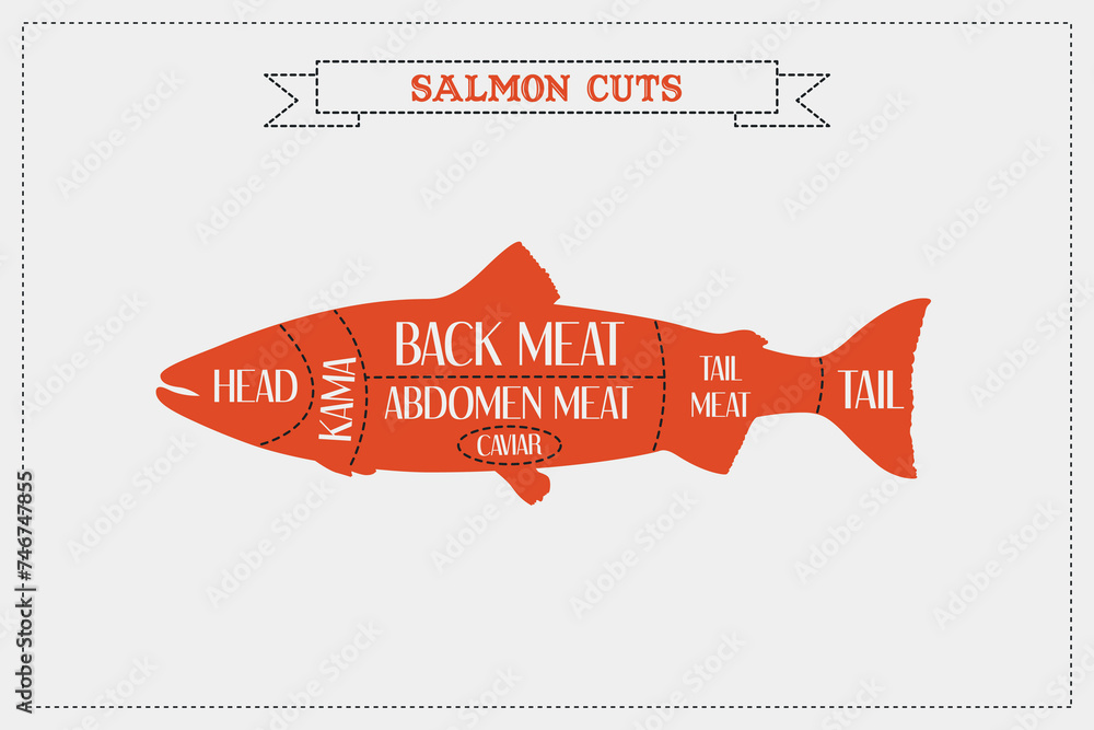 Color Guide to Butcher Diagrams for Cutting Salmon Stock Vector | Adobe ...