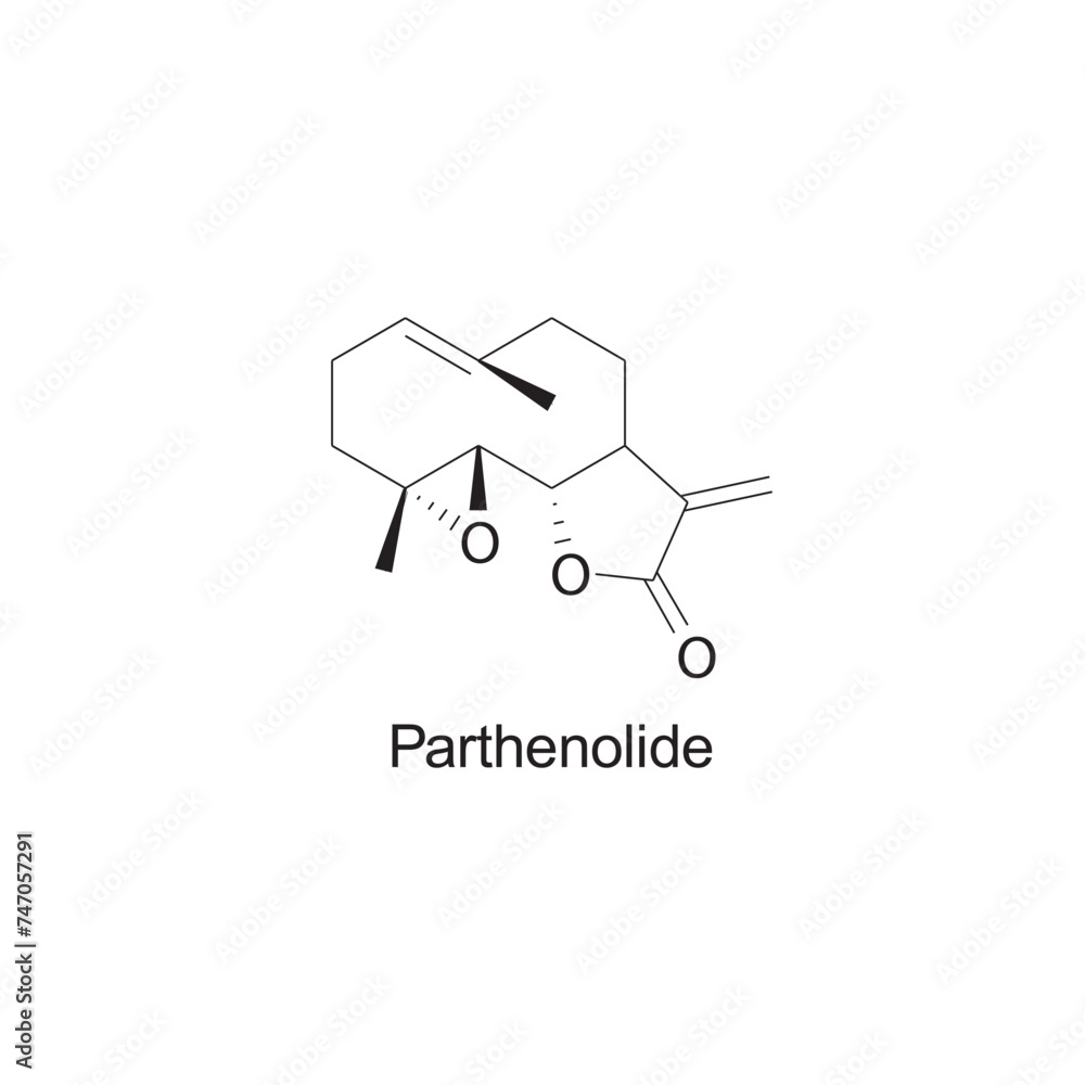parthenolide skeletal structure diagram.Sesquiterpene compound molecule ...