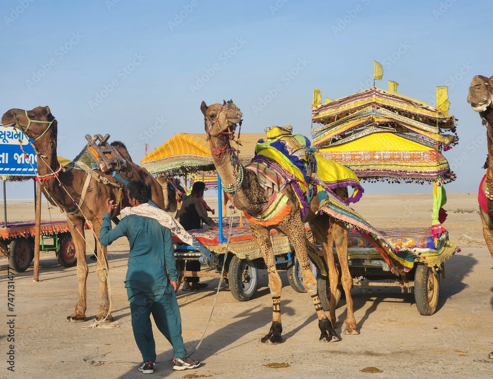 Foto de Bhuj, Gujarat India - Feb 19 2024: White desert of kutch - rann ...
