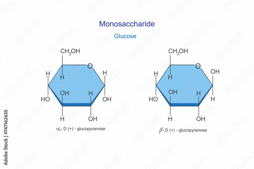 Molecular Structure Of Monosaccharide Glucose Monosaccharides Simple Sugar Monomer Of
