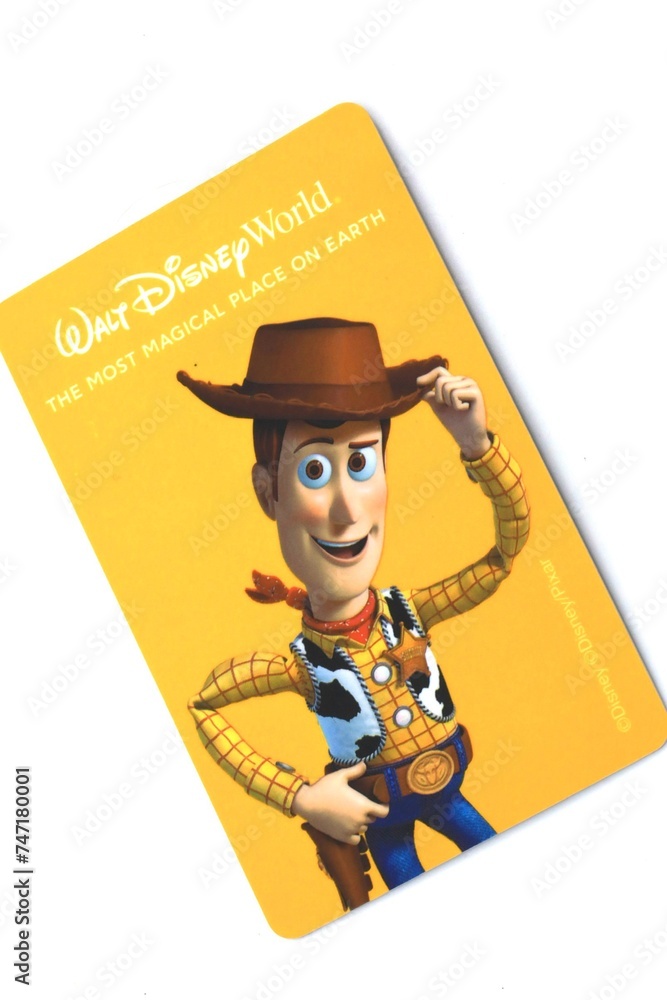 Walt Disney World Ticket Card. Cards store a digital pattern that ...