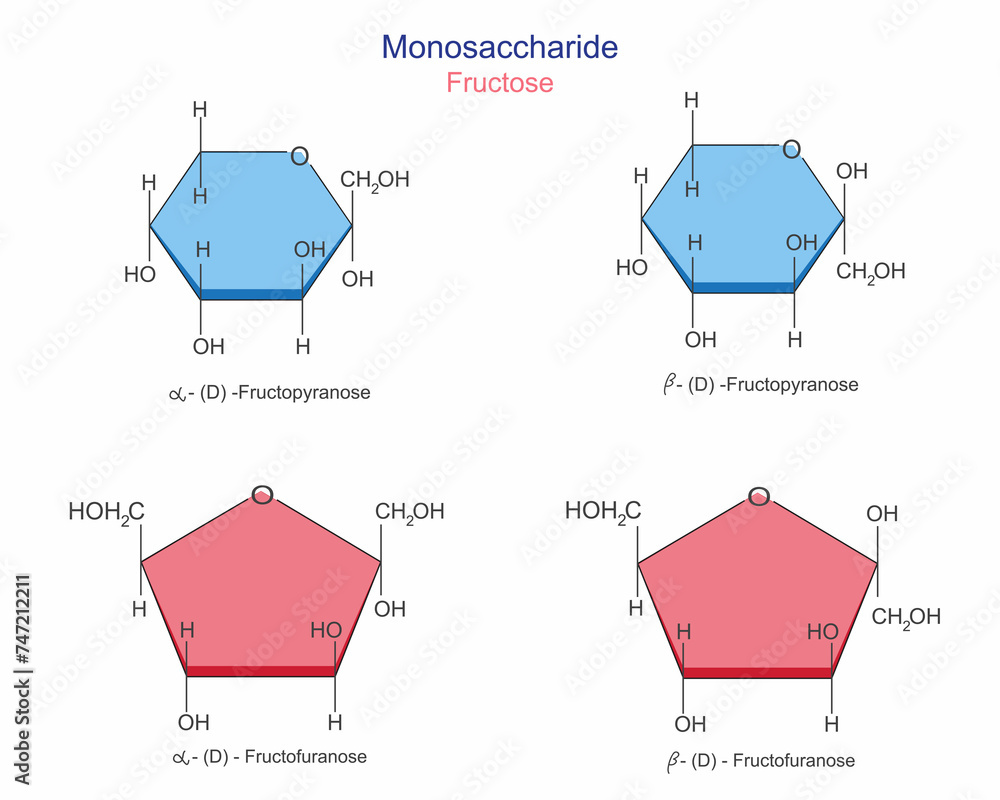 Molecular structure of monosaccharide fructose . Monosaccharides ...