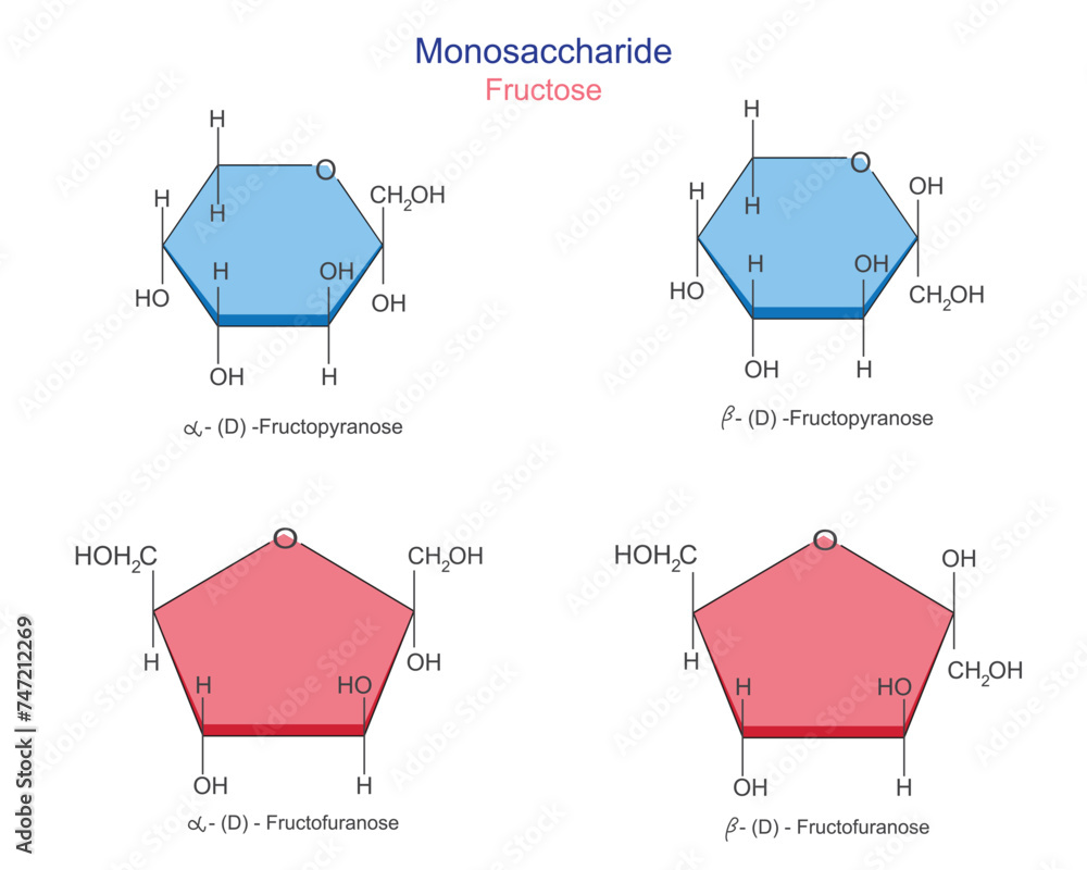 Molecular structure of monosaccharide fructose . Monosaccharides, monomer of carbohydrate ...
