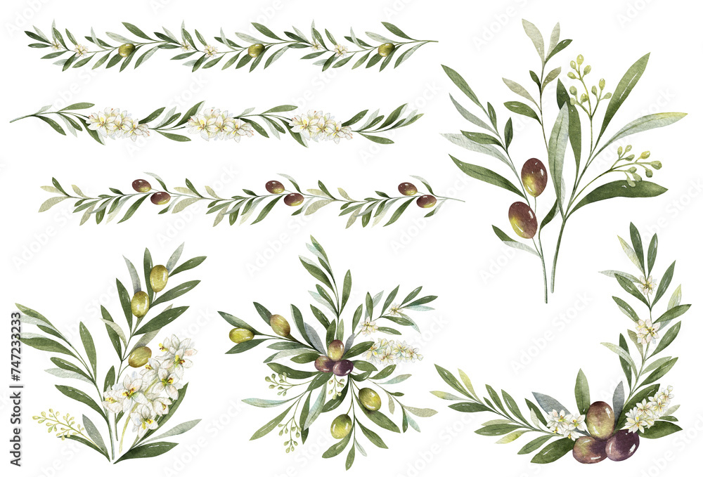 Watercolor set of bouquets and borders of olive branches. Design for ...
