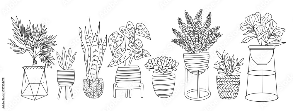 Set of Houseplants outline drawings. Indoor exotic flowers in pots line ...