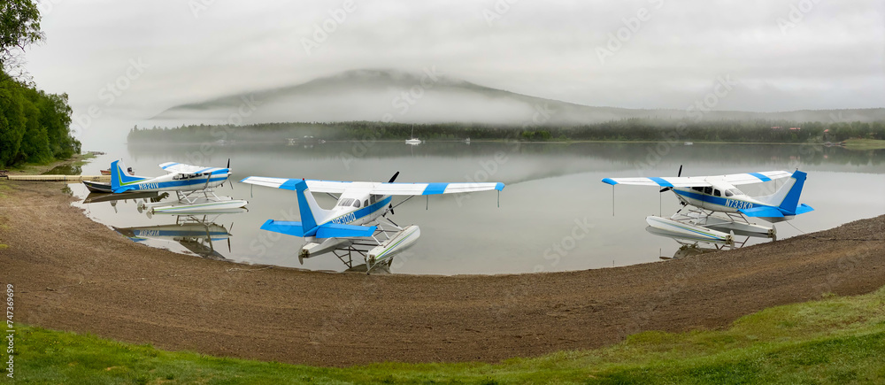 Port Alsworth, Alaska: Floatplanes on foggy Hardenburg Bay on Lake ...