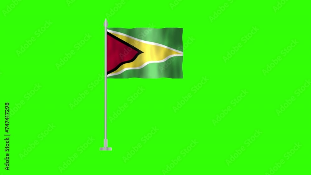 Vidéo Stock Flag of Guyana, Pole flag of Guyana on Green screen chroma key, Guyana 3D Animation ...