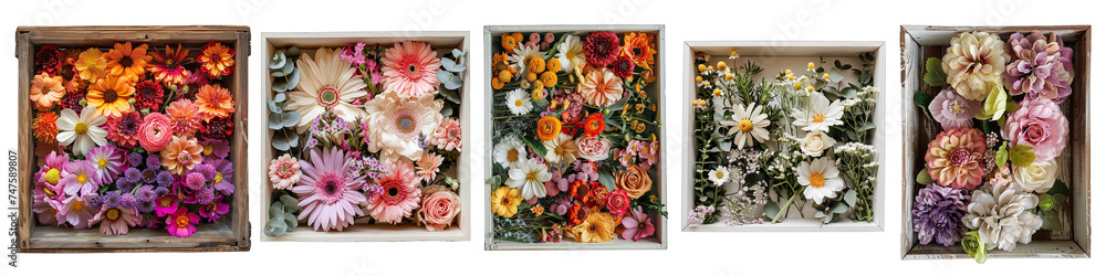 Flower boxes top view isolated on white or transparent background ...
