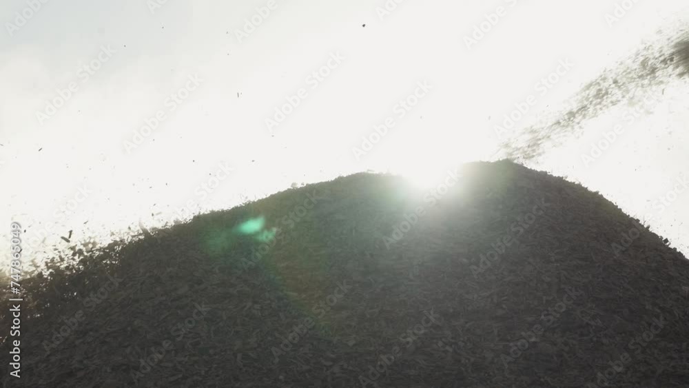 Woodworking industry, recycling of tree trunks into splinters, machine ...