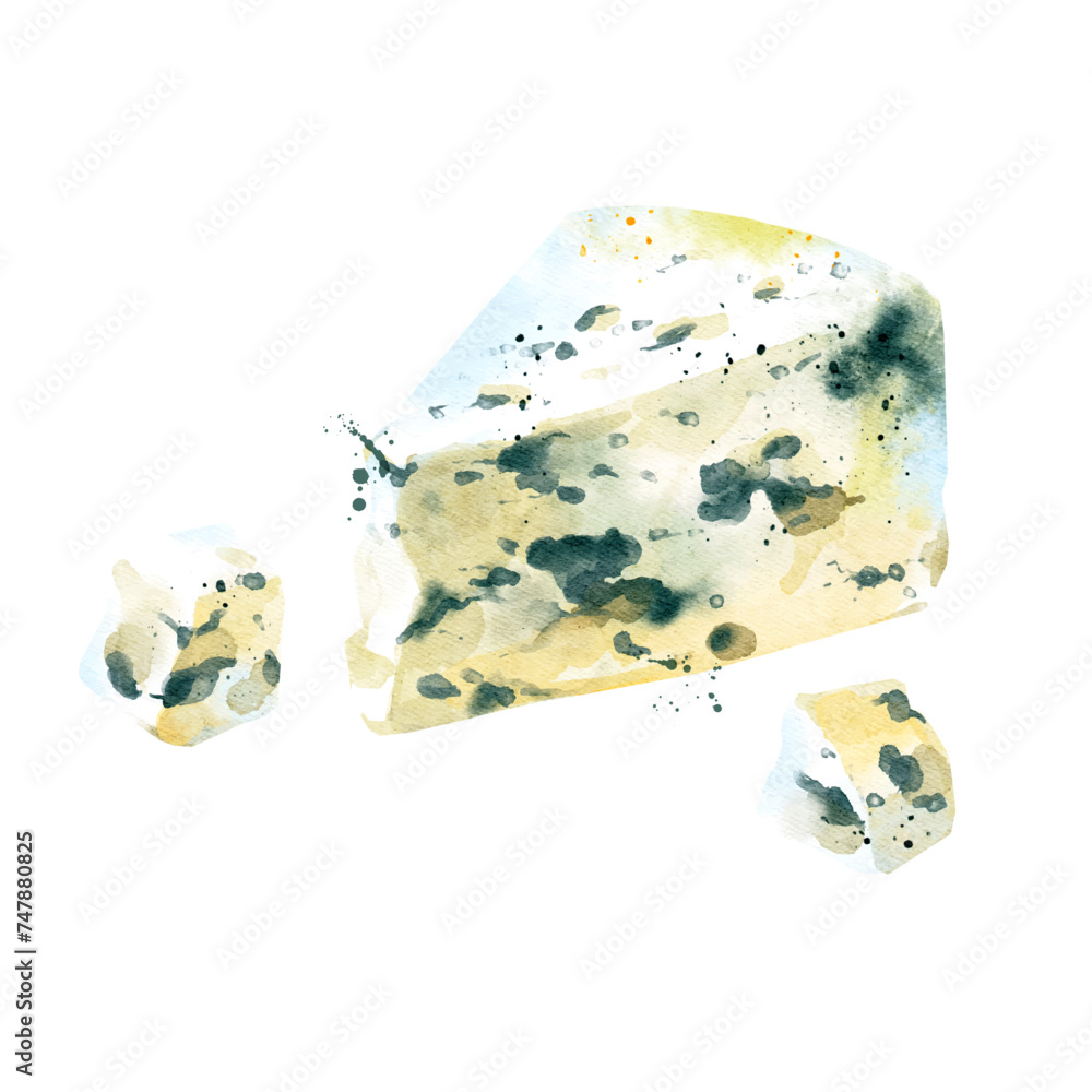 Watercolor hand drawn sketch blue cheese. Painted vector isolated ...