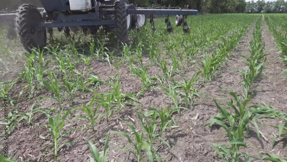 Tractor Fertilizing Corn. Tractor Fertilizing Footage. Aerial View of ...