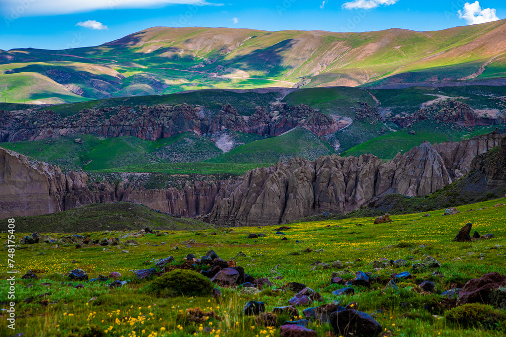 Floral Meadows and Sandstone Cliffs at Goli Pond, Ardabil Province ...