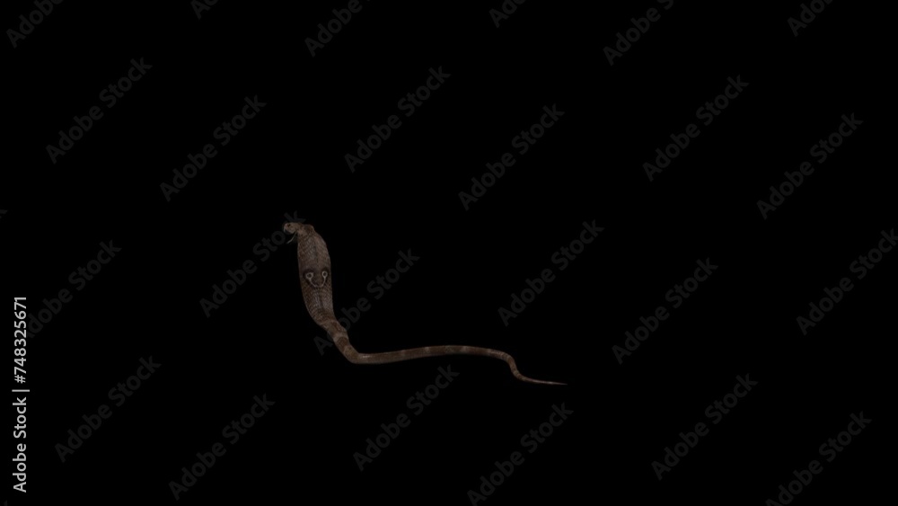 3D Cobra Snake Crawling rendering back view on a black background or ...