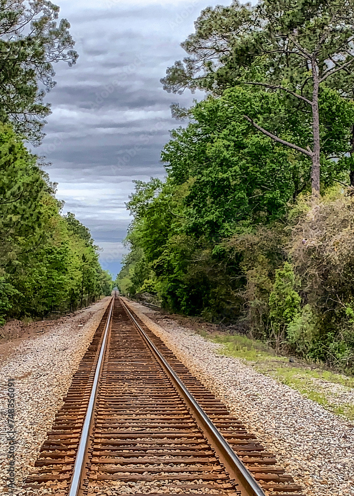 Railroad track lined with forest showing one point perspective Stock ...