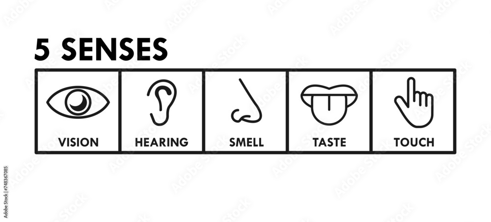 5 senses design template illustration Stock Vector | Adobe Stock