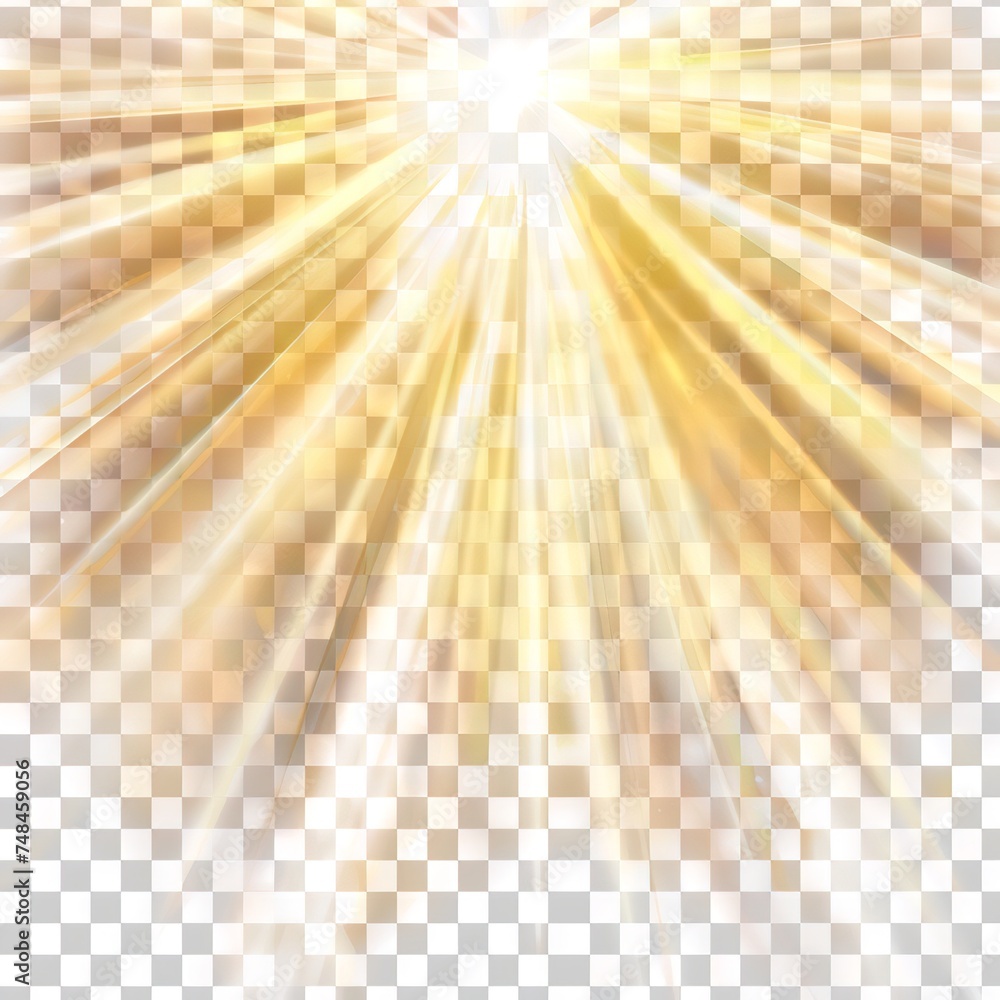 High-quality stock image capturing warm sunlight effects, lens flares ...