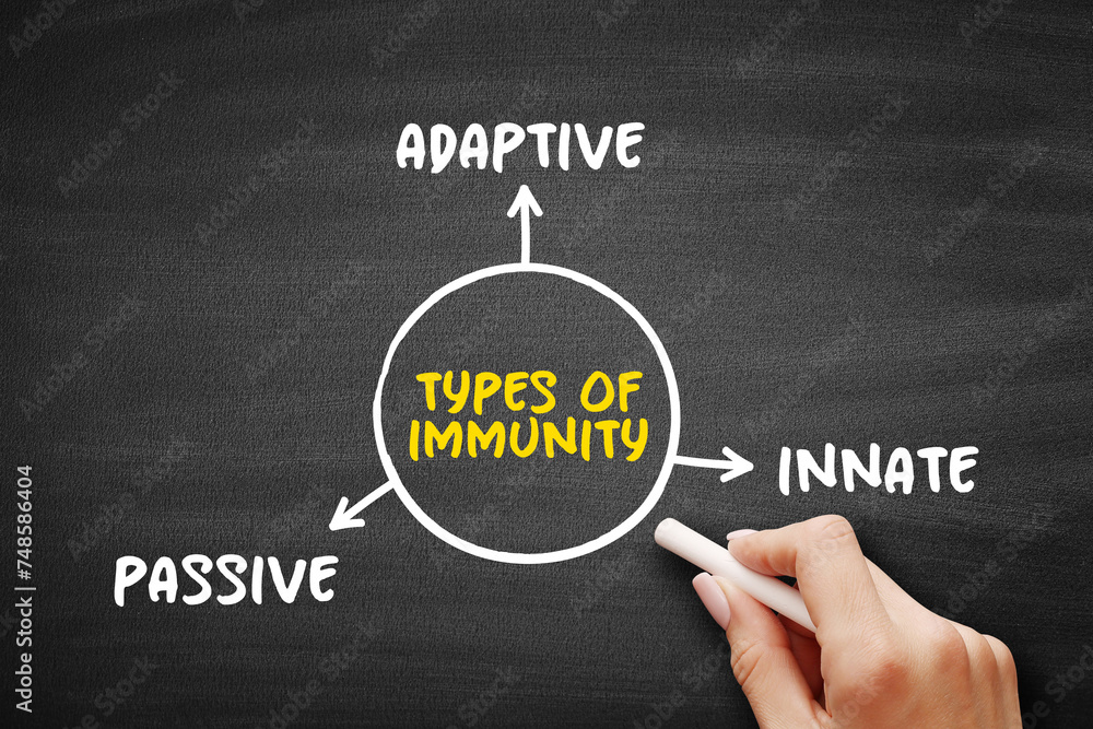 Types of immunity mind map text concept for presentations and reports ...