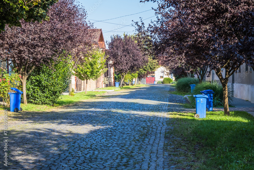 Blue garbage cans on the street in a small town near every house ...