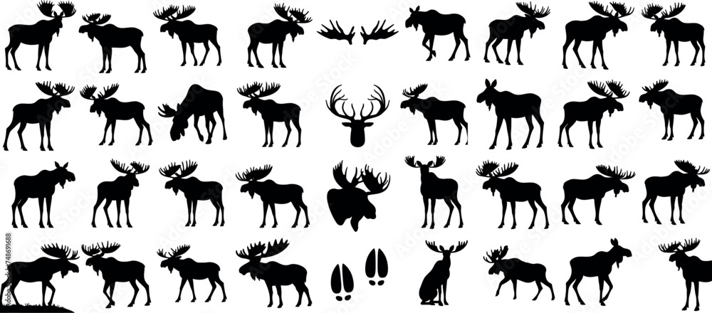 Moose silhouette vector, illustration, wild moose for wildlife design ...