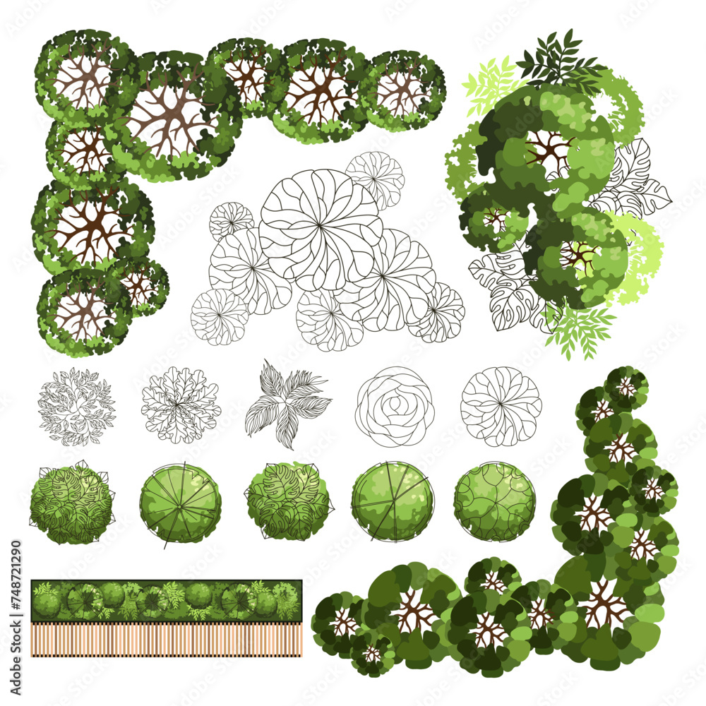 Top view elements for the landscape design plan. Trees and benches for ...