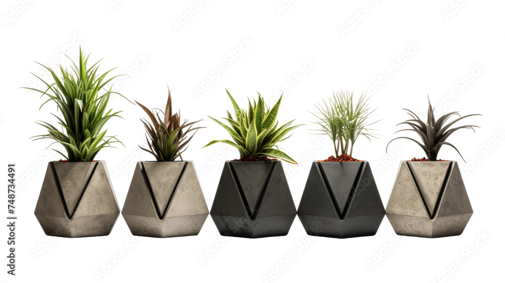 Concrete Planters with Industrial Style on transparent background Stock ...