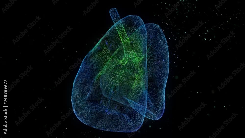 Human lungs. Green light dot and lines formation human lungs model ...