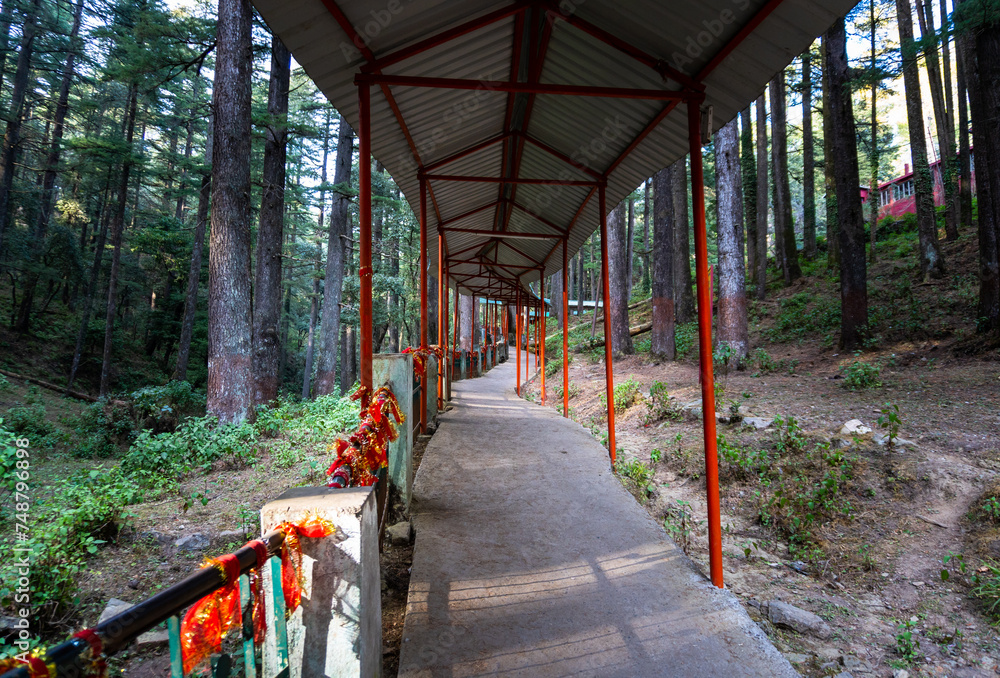 Shaded Pathway to Tarkeshwar Mahadev Temple: Lansdowne's Sacred Shiva ...