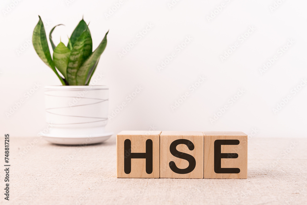 Word HSE made with wood building blocks on a light background Stock ...