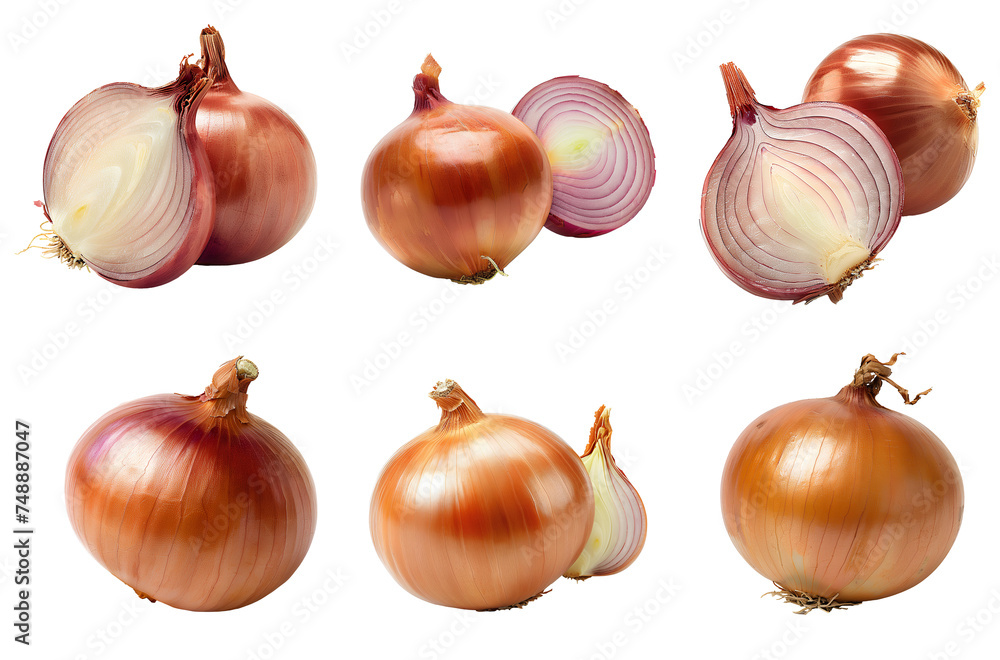 Onion set PNG. Set of yellow onions different views isolated. Yellow ...