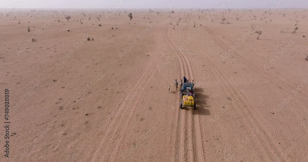 Aerial rear view. Two black men driving donkey carts with drinking ...