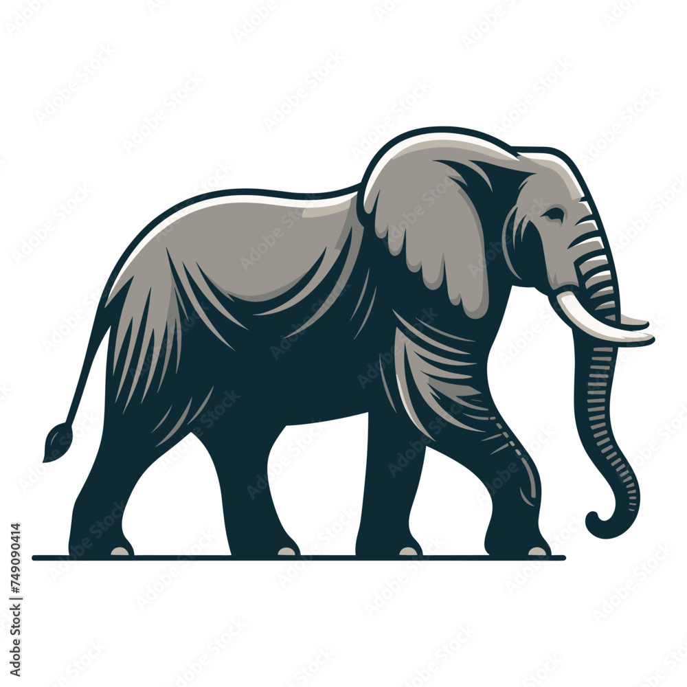 Elephant full body vector illustration, zoology illustration, African ...