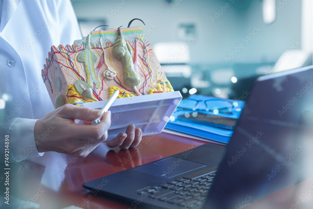 The doctor shows the anatomy of the skin during a consultation . Stock ...