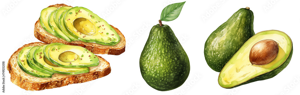 set of 3 avocado cliparts (on toast, whole and sliced) watercolor ...