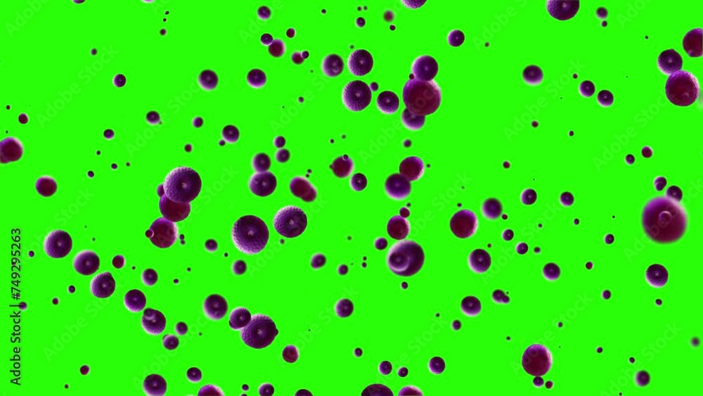 Vidéo Stock Purple Blood Cell Floating Animation On Green Screen ...