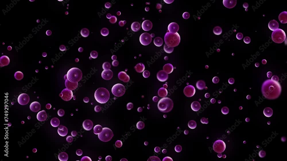 Purple Blood Cell Floating Animation On Black Background. Purple Blood ...