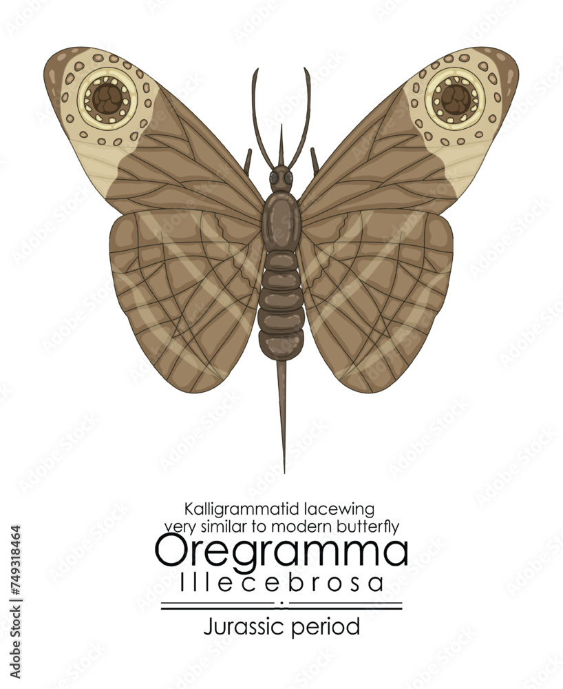 Poster Prehistoric butterfly-like insect Oregramma illecebrosa from ...