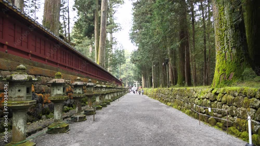 Toshogu Shrine long alley with stone lanterns overgrown with moss and ...