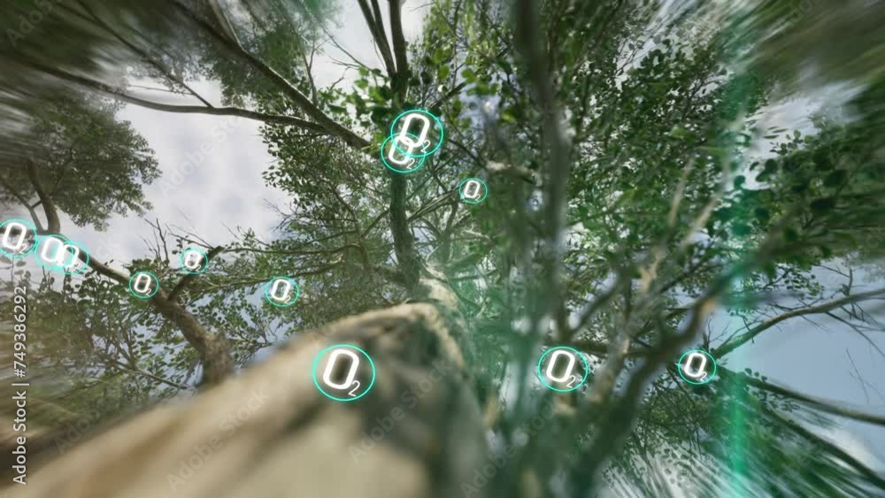 Forest tree producing oxygen icon from co2. Global warming theme ...