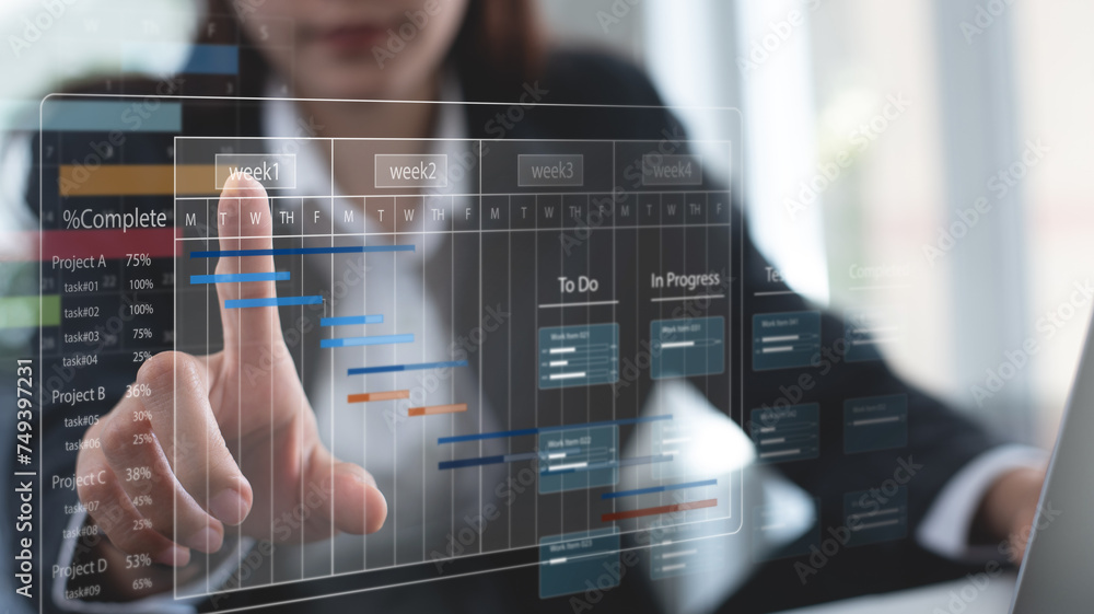 Business Project Management System. Project manager working on laptop ...