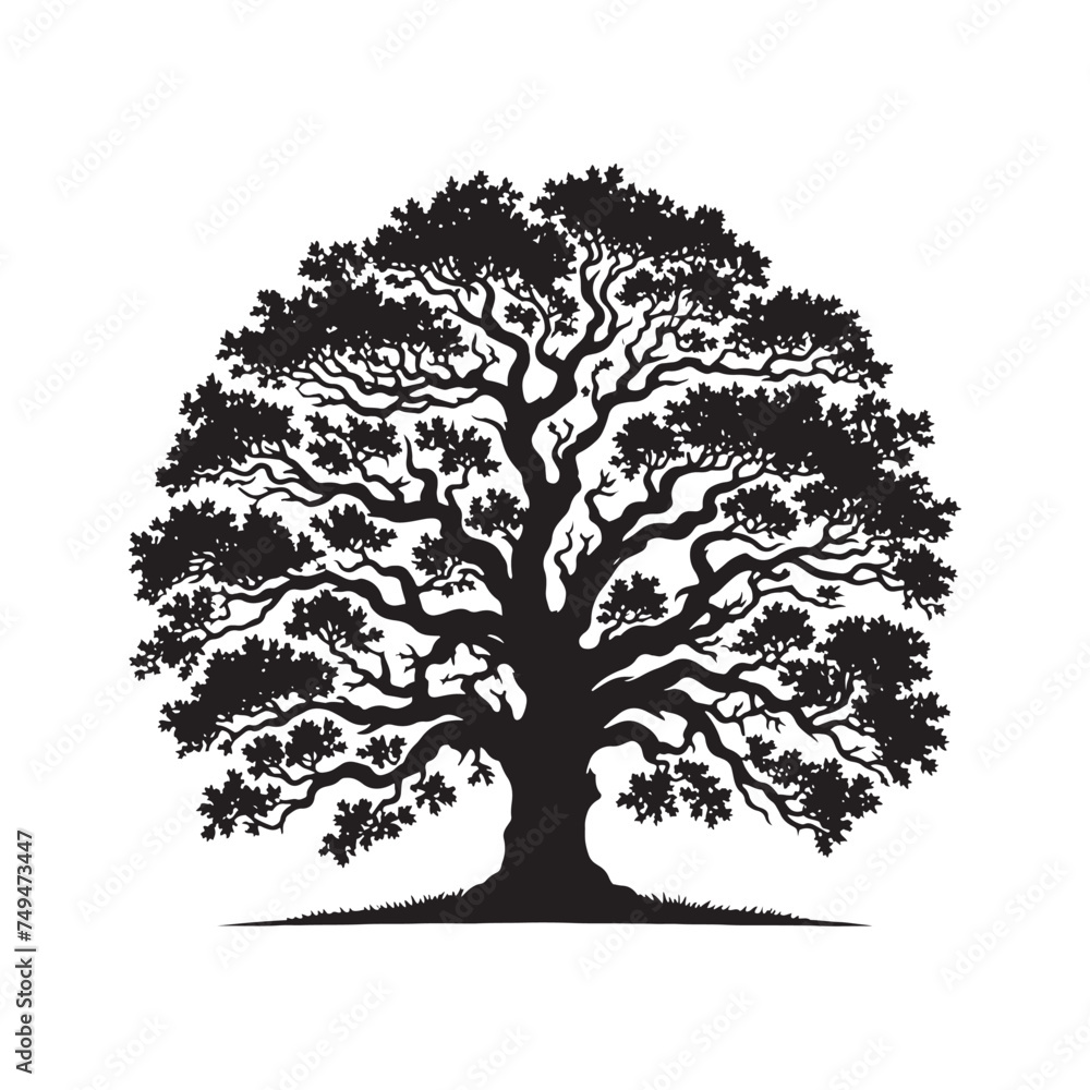 A Symbol of Wisdom: A Mature Oak Tree Silhouette Inspiring Serenity and ...