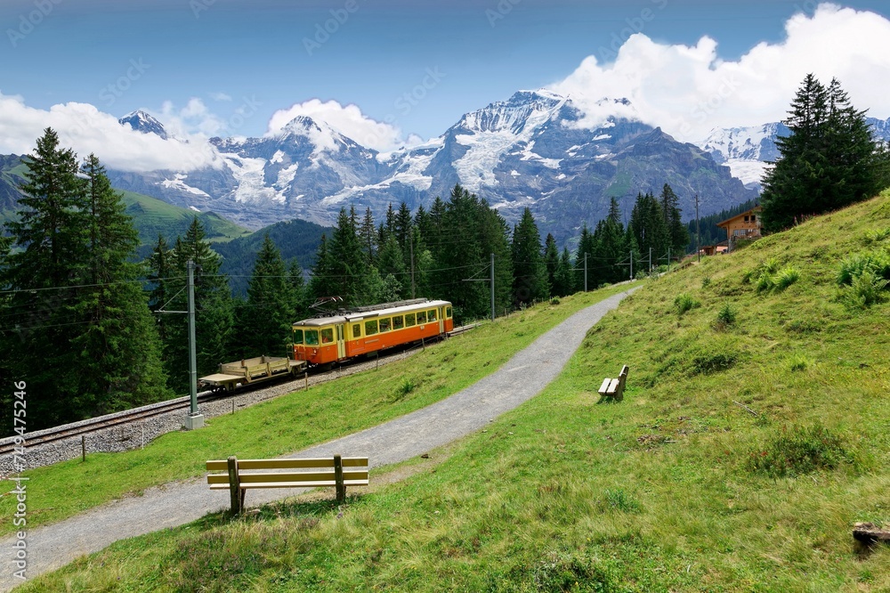 Scenery of a local train traveling on the narrow gauge railway by the ...