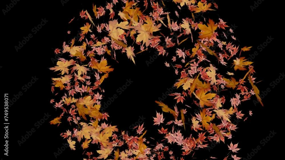 falling maple leaves particle overlay transition animation with ...