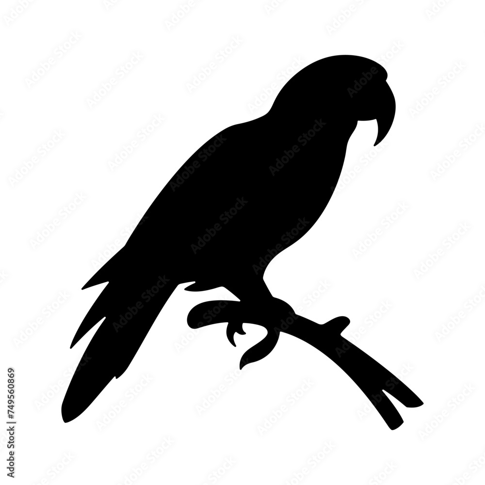 Parrot silhouette, cute black parrot sitting pose silhouette, parrot ...