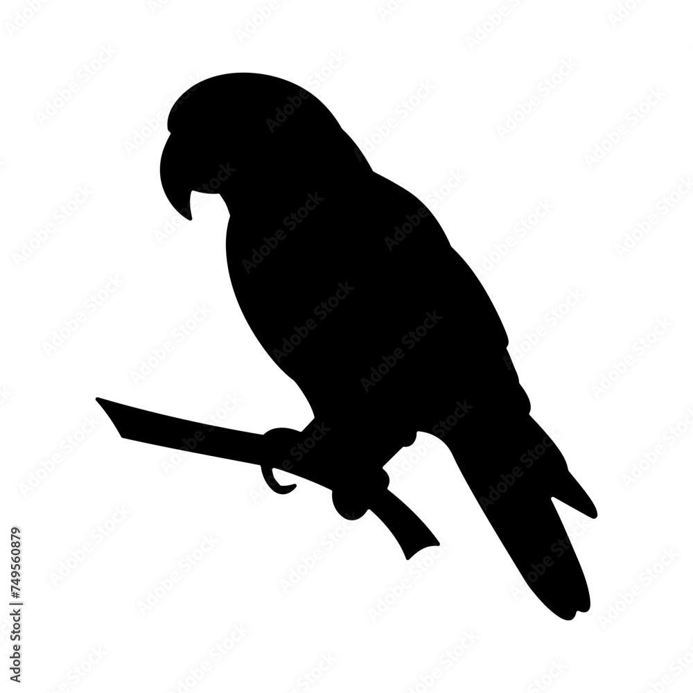 Parrot Silhouette Cute Black Parrot Sitting Pose Silhouette Parrot