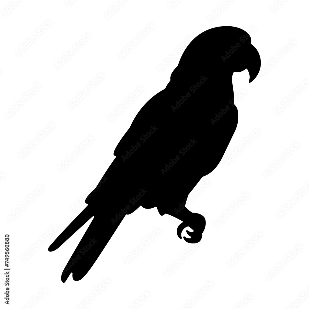 Parrot silhouette, cute black parrot sitting pose silhouette, parrot ...