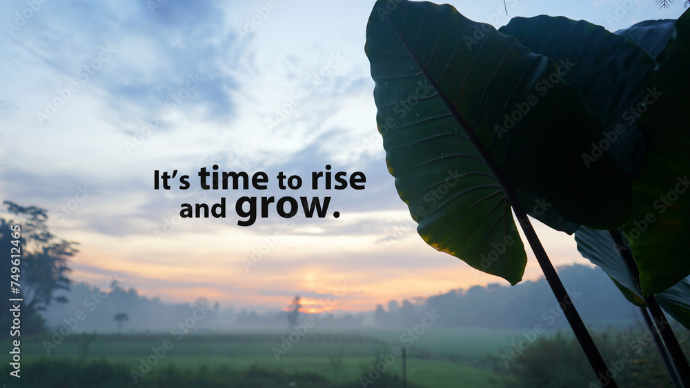 Inspirational motivational quote - It's time to rise and grow. On ...