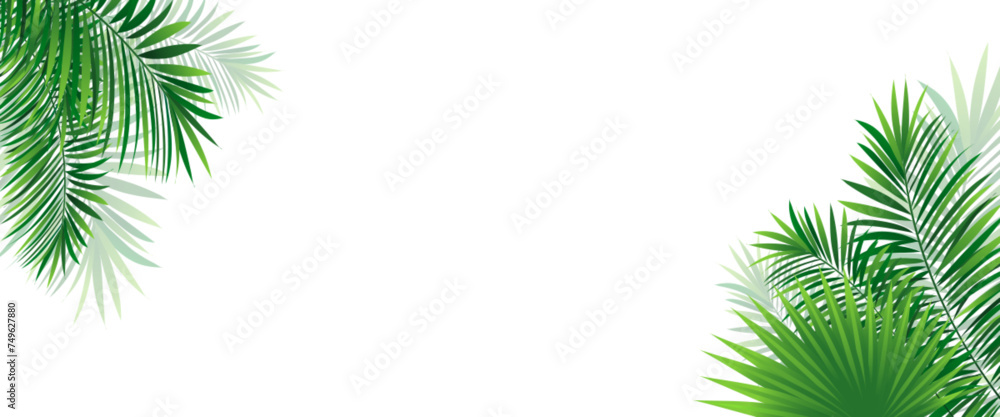 Poster Amazon rainforest horizontal border frame – Wall Art | UkPosters