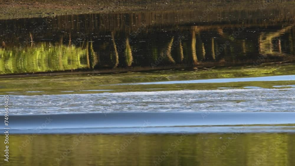 Telephoto shot of a boat’s wake wave rippling water reflections of ...
